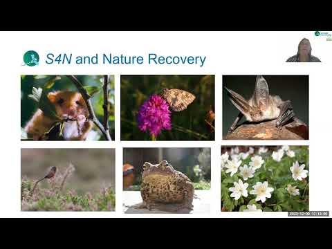 Space4Nature: Project Launch