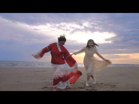 Darwin- Dream as a dress—Qi Ge