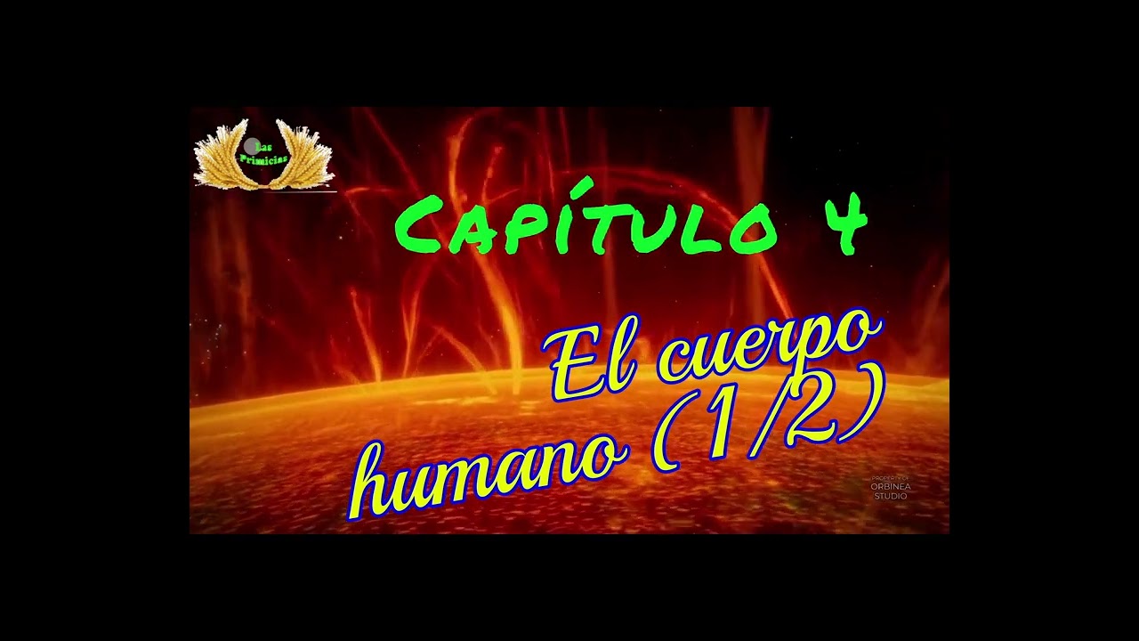Capítulo 4 - El cuerpo humano (1)