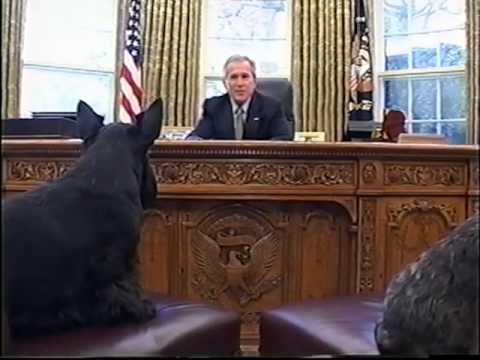 Celebrate Dogs In Politics Day With A Ranking Of Presidential Pooches