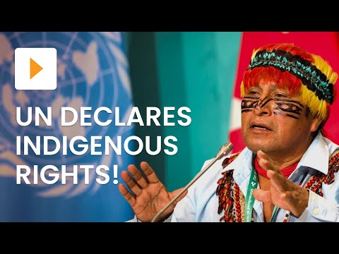 Understanding UNDRIP: Protecting Indigenous Peoples' Rights Worldwide | History | ClickView