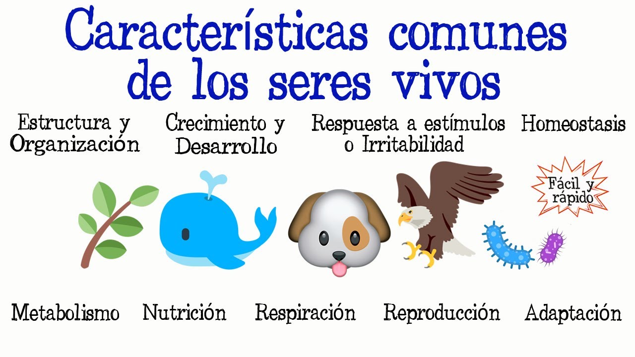 🐝Common characteristics of living beings🐠 [Easy and Fast] | BIOLOGY |
