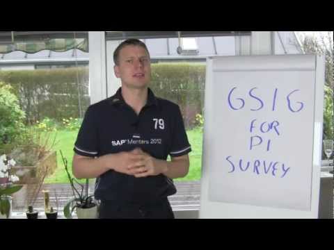 SAP PI Archituecture GSIG for SAP PI Survey.mp4