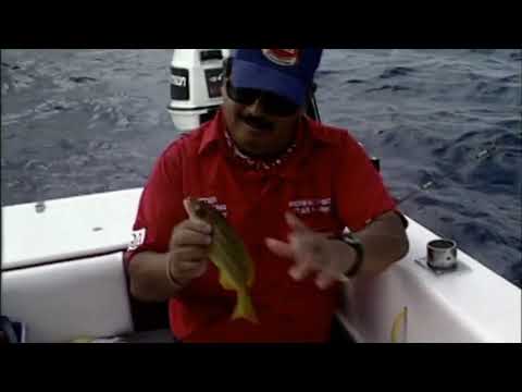 Fishing Tales - Hilo Bay Light Tackle with the Okudas
