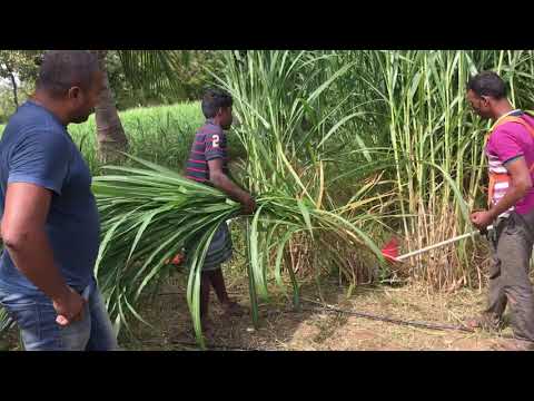 Verma Machine Tools And Equipments - Wholesale Trader of Car Washer ...