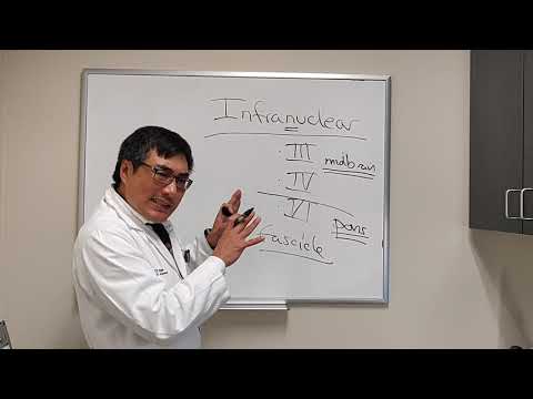 Infranuclear cranial motor neuropathy