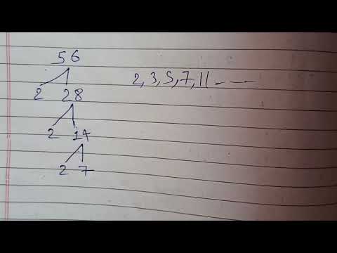 factor tree of 56