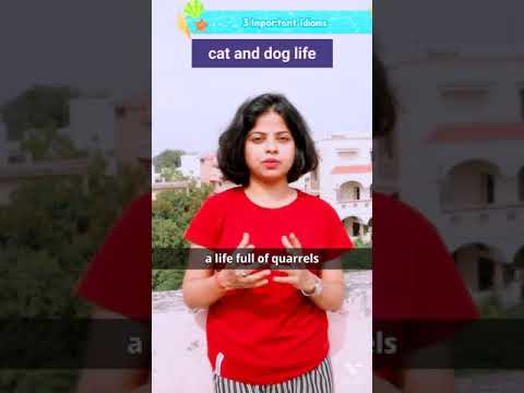 Call a spade ,a spade|3 Most Important Idioms 🔥|Idioms and phrases|letter better|#shorts