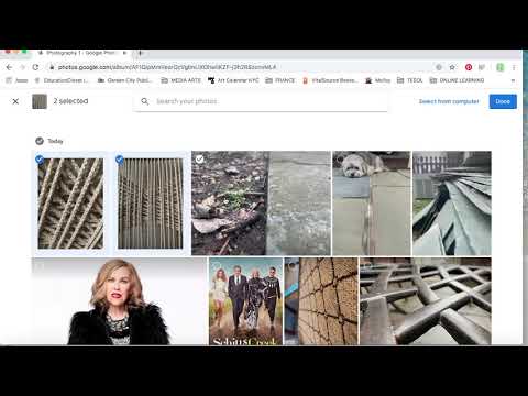 How to Create a Shared Album in Google Photos