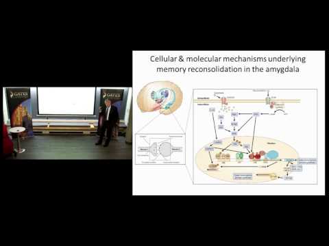 Provost, Professor Barry Everitt, on memory plasticity