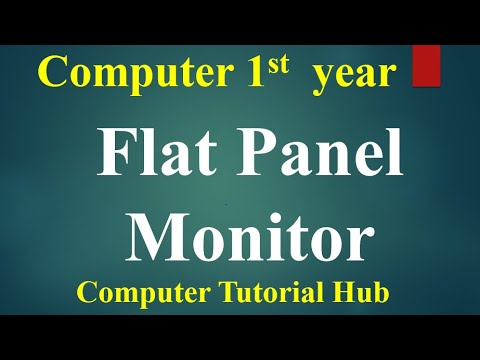 Flat Panel Monitor computer 1st year