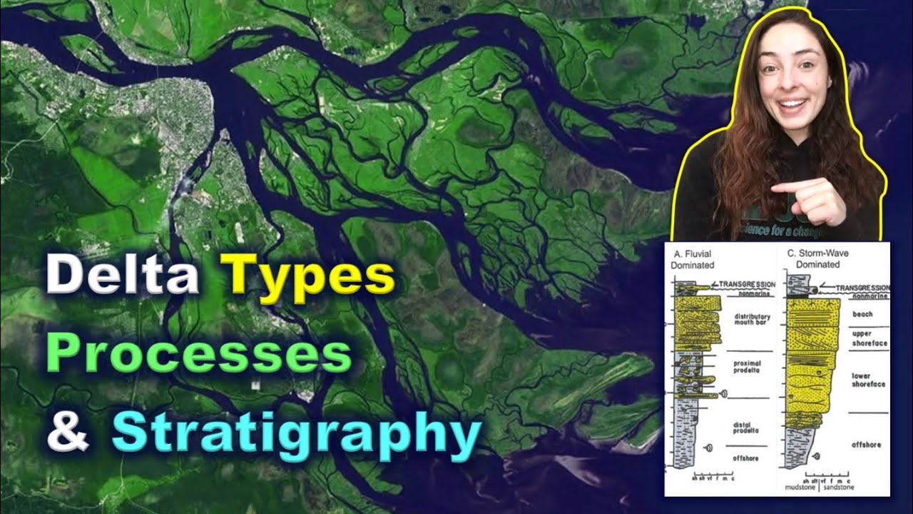 Understanding Delta Depositional Environments and Stratigraphy | Galaxy.ai