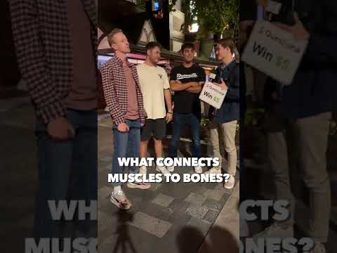 What connects muscles to bones?