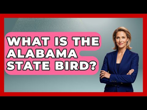 What Is The Alabama State Bird? - Southern Culture Collective