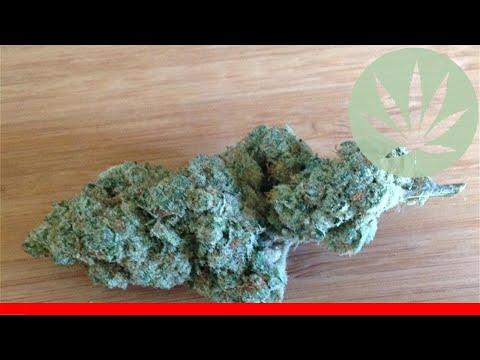 Star Killer - All About This Strain