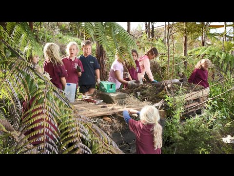 Growing the kaitiaki of the future – Oruaiti School