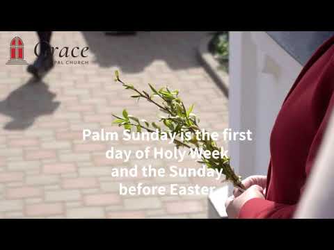 What is Palm Sunday and Why do We Celebrate It?