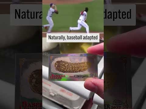 What Does "Pickle" Mean in Baseball?