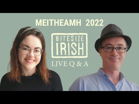 Irish langauge Q&A - June 2022