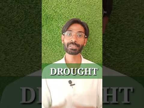 Drought vs Draught | zmohammadi | shorts