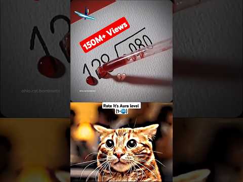 DAY-2 HIGHEST AURA LEVEL... ???? || OHIO CAT BOMBASTIC |4K SHORTS | OHIO CAT BOMBASTIC