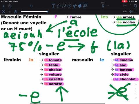 TFC401 CHAPTER THREE LES ARTICLES DEFINIS LE, LA, LES AND L’