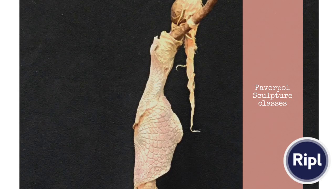 Paverpol Sculpture classes
