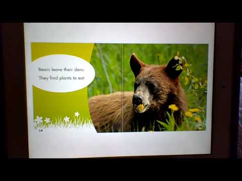 Animals in Spring read aloud