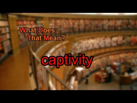 What does captivity mean?