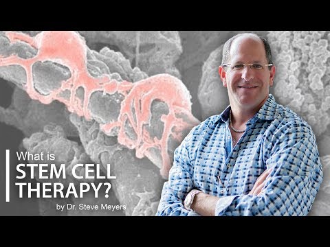 Regenerative Stem Cell Therapy Explained - Dr. Steve Meyers