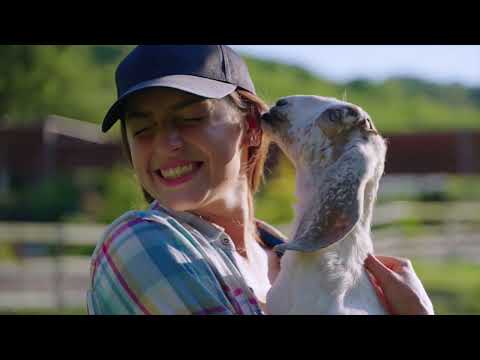 Discover the Animal Science and Management major