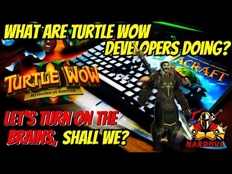 Turtle WoW - The Raid That Breaks Guilds? Karazhan 40! The Tower Of Karazhan!