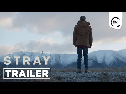 STRAY - Trailer