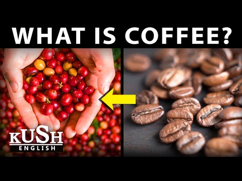 What is coffee? - 15 curiosities you do not know - KUSH English - Interesting Facts - Curiosity