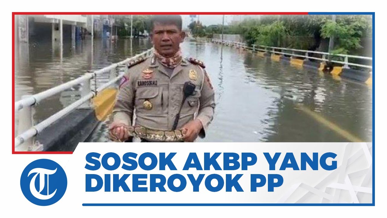 Pernah Viral di Twitter Gara-gara Pegang Ular, Ini Sosok AKBP Dermawan yang Dikeroyok Oknum ...