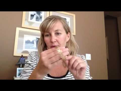 Melissa's Plunder Jewelry video