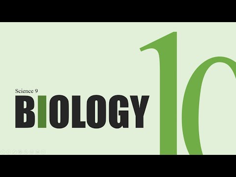 Sex-Linked Genes: Knowledge Catalog Grade 9 Biology #10