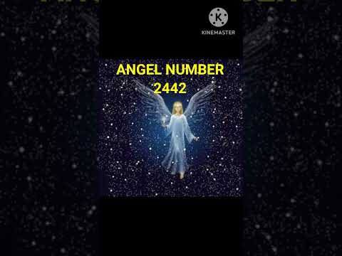 ANGEL NUMBER 2442 ,#shorts#shortvideo#2442#angel#angelnumber#angelnumber2442,@diviine_twinflame