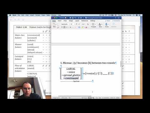Ling 201 - Intro Linguistics - Distinctive Feature Practice #1