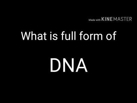 FULL FORM OF DNA