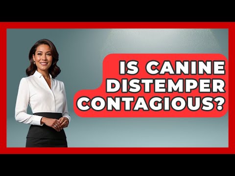 Is Canine Distemper Contagious? - The Wild Life Explorer