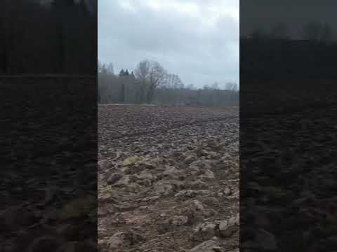 It was a tricky ploughing because of the slope and the soil was really heavy.