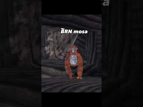 BRN mosa color code #edit #mosa #gorillatag