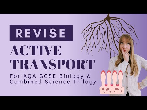 Active Transport | Revise AQA GCSE Biology | Cell Biology | Paper 1
