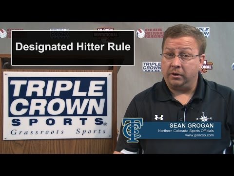 Designated Hitter