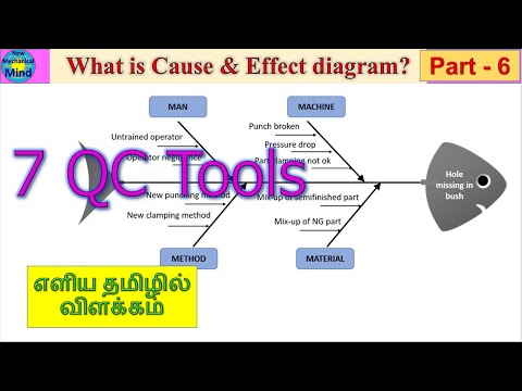 What is Cause and Effect diagram | fishbone diagram | ishikawa diagram | Explained in Tamil