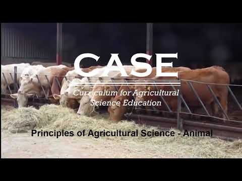 ASA - What Is a Disease?