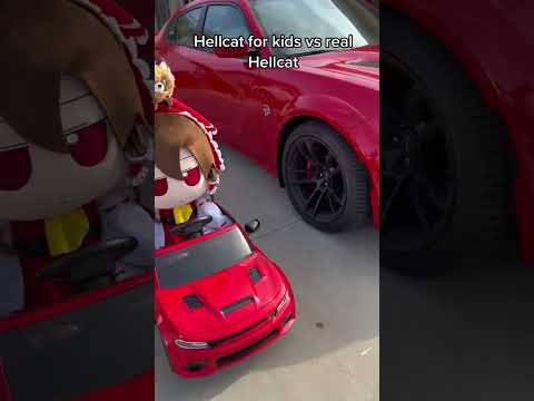 [Touhou] Fumo Reimu Meets A Mini Car #shorts #touhou