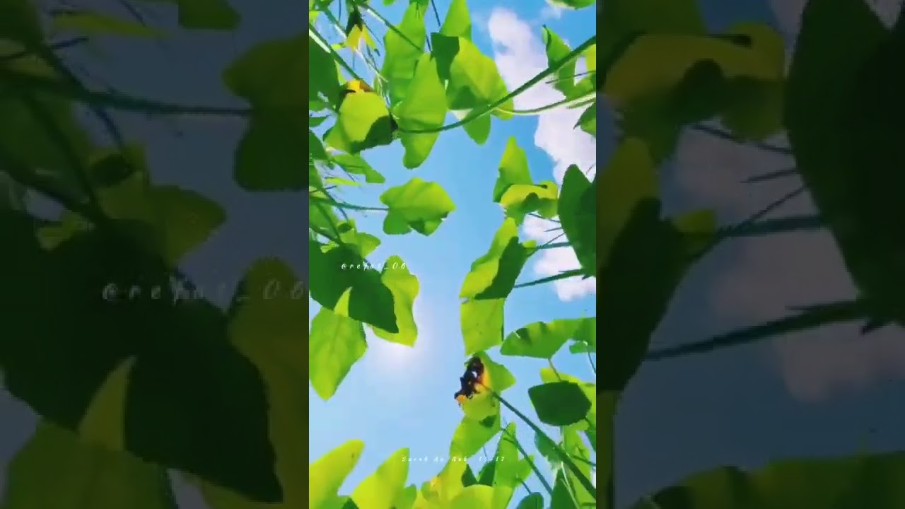 Surah An Naba Verses 15 17