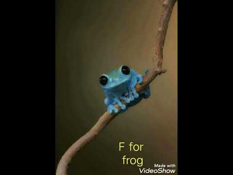 Words starting from alphabet F